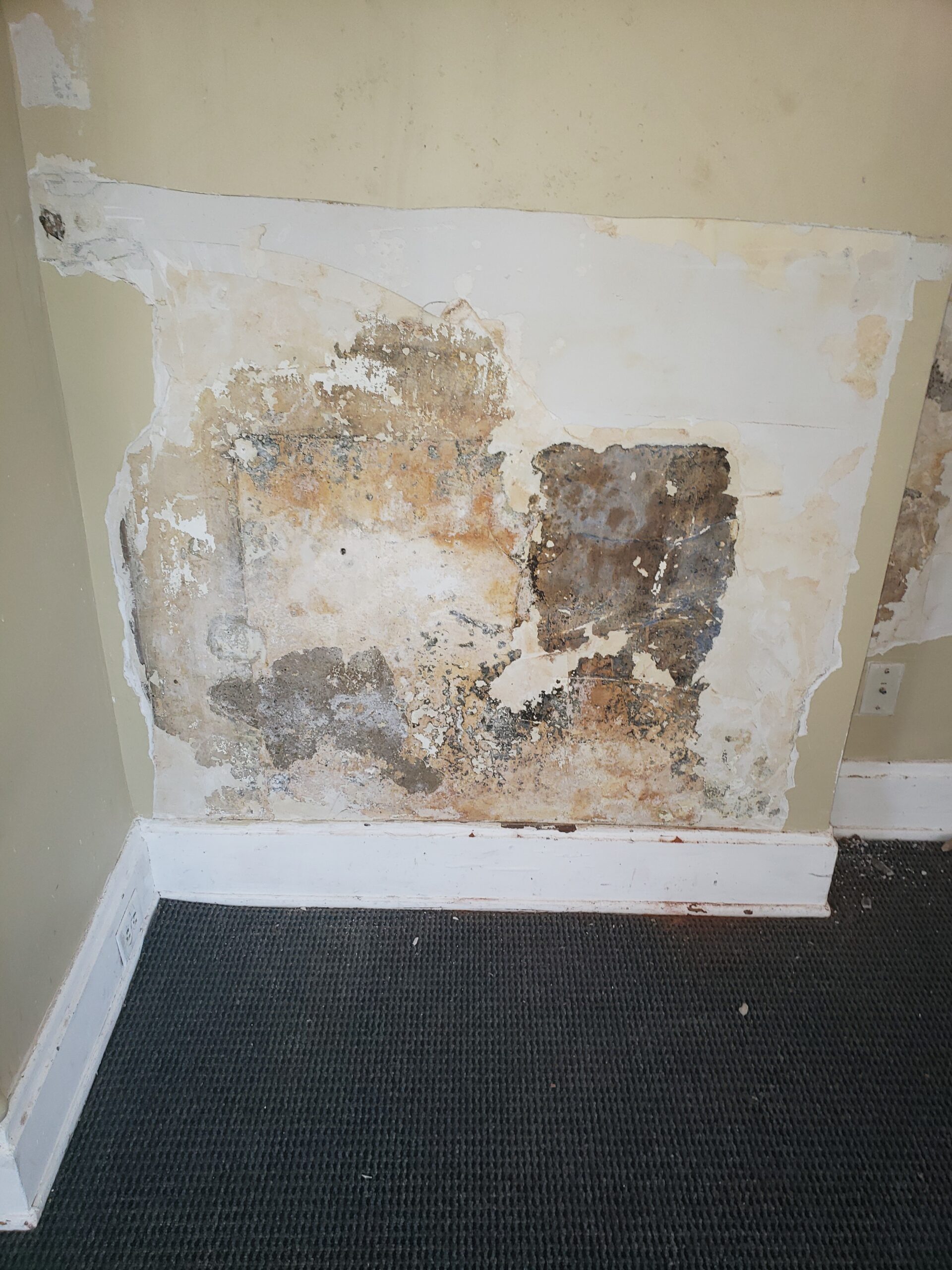 Innovative and Adaptive Mold and IAQ Consulting Services - Indoor Air ...